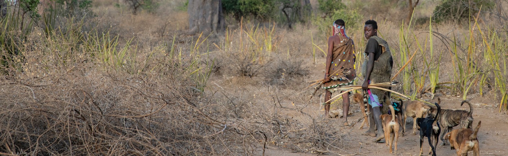 7th International Conference on Rabies in West Africa (RIWA ...