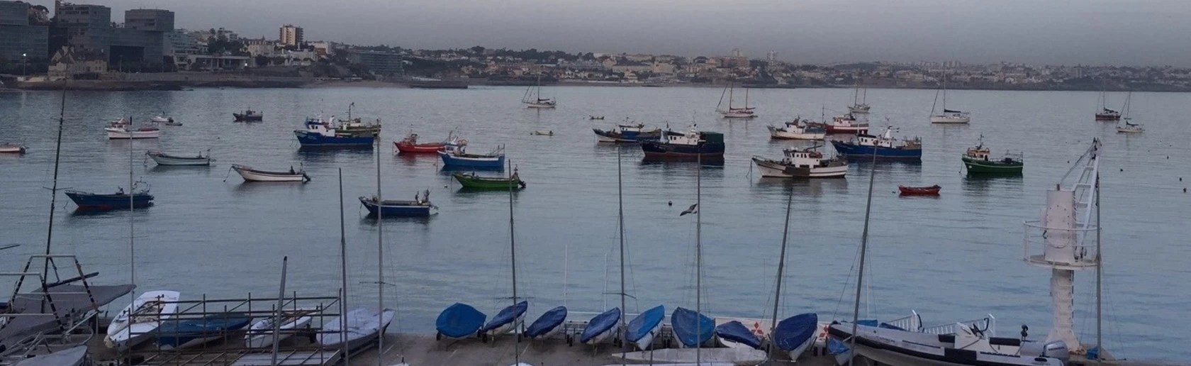 Looking for New Approaches to Transboundary and Emerging Diseases ...