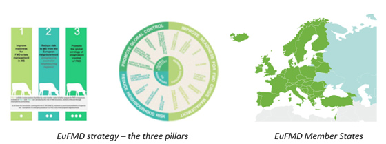 Focus On… Foot-and-Mouth Disease and Similar Transboundary Animal ...